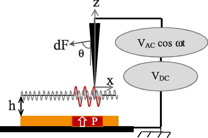 Kelvin probe force microscopy and electrostatic force microscopy ...