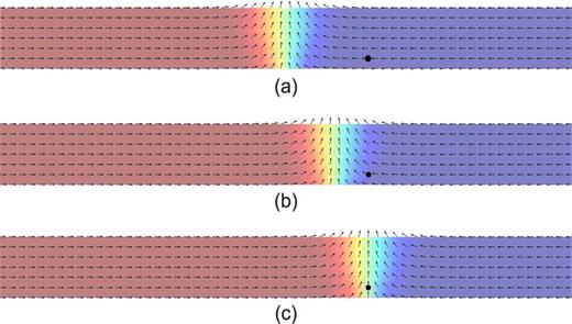 Transverse domain wall scattering and pinning by magnetic impurities in ...