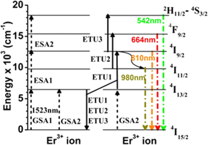Optimizing infrared to near infrared upconversion quantum yield of β ...
