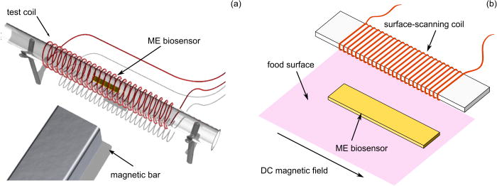 Design of a surface-scanning coil detector for direct bacteria ...