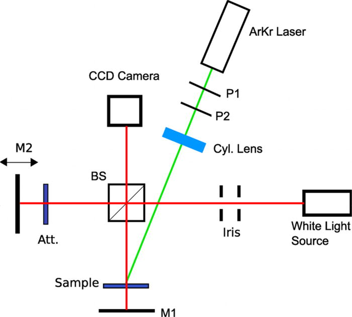 A white light interferometric microscope for measuring dose-dependent ...