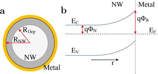 Surface depletion effects in semiconducting nanowires having a non ...