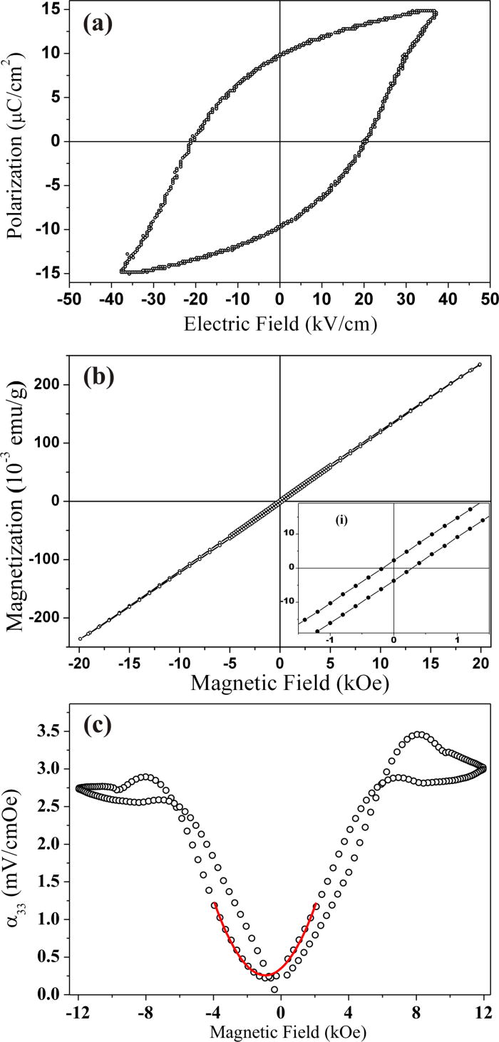 Intrinsic features of the magnetoeletric coupling mechanism in ...