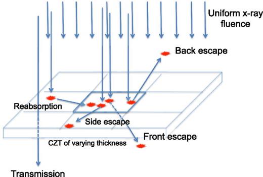 Investigating the effect of characteristic x-rays in cadmium zinc ...