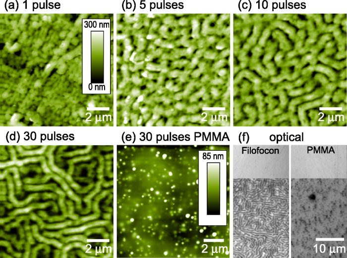Self-assembly of a new type of periodic surface structure in a ...