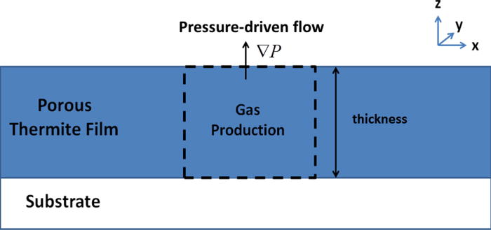 A pressure-driven flow analysis of gas trapping behavior in ...