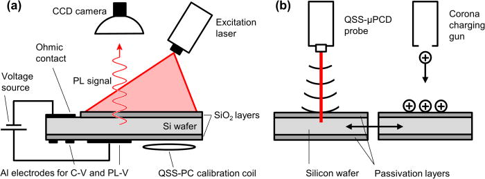 Modulating the field-effect passivation at the SiO2/c-Si interface ...
