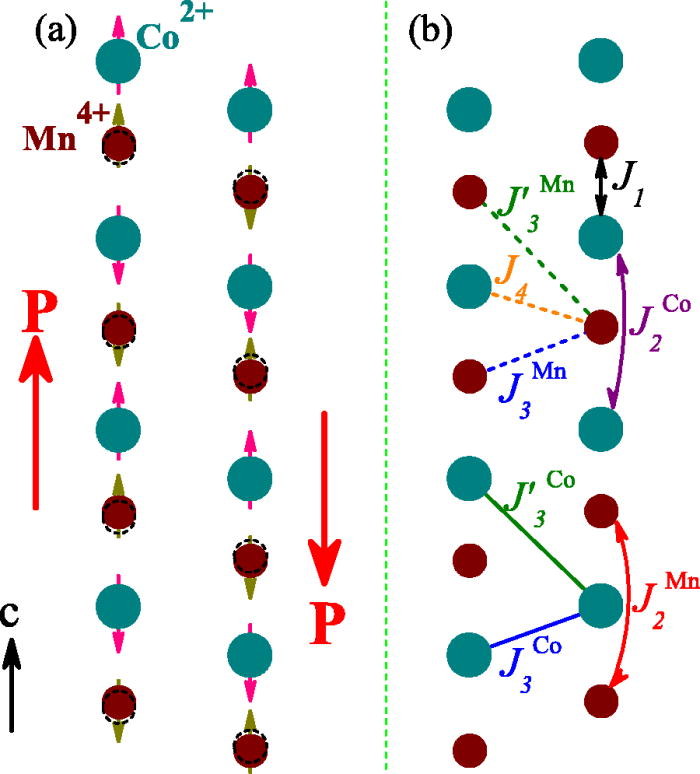 Multiferroicity in Mn-deficient Ca3CoMnO6: The consequence of Fe ...
