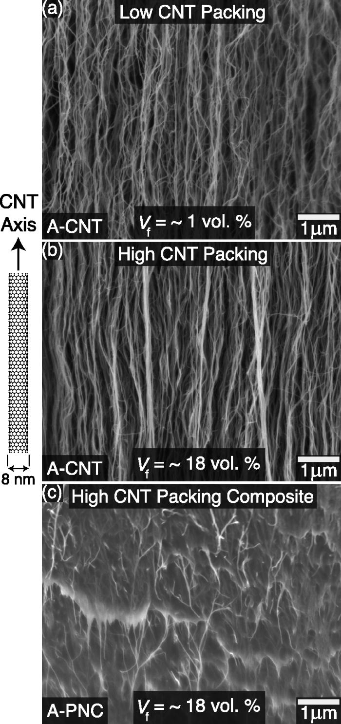 Three-dimensional elastic constitutive relations of aligned carbon ...