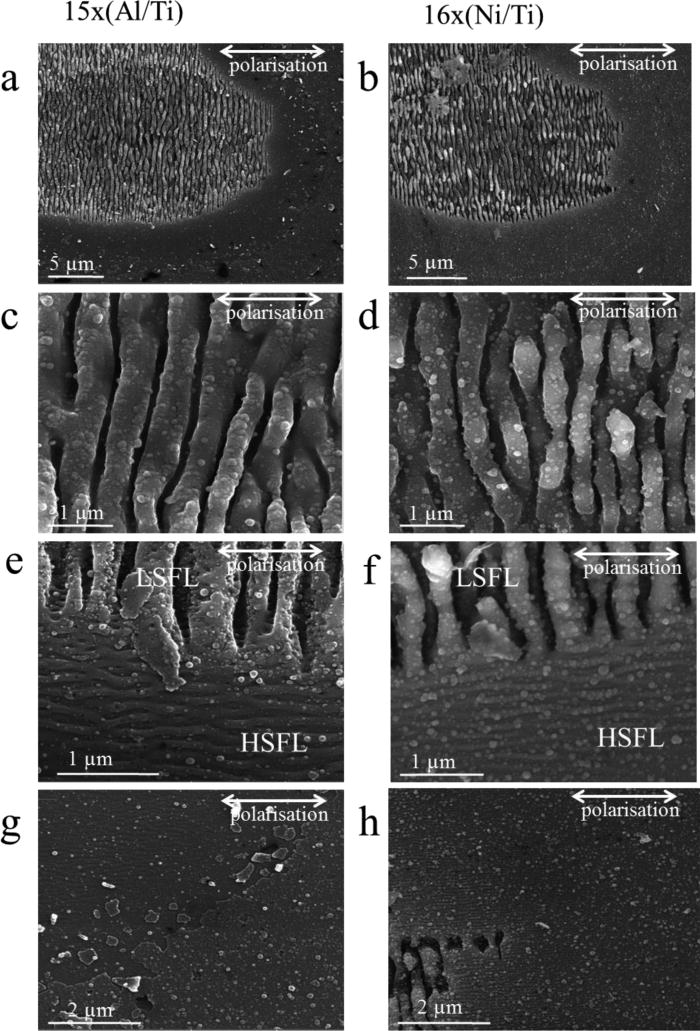 Femtosecond laser-induced periodic surface structure on the Ti-based ...