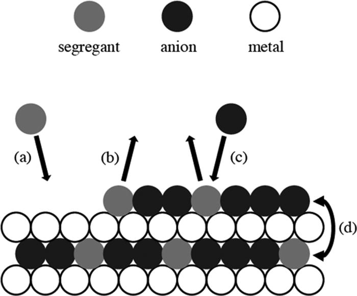 Incorporation kinetics in mixed anion compound semiconductor alloys ...
