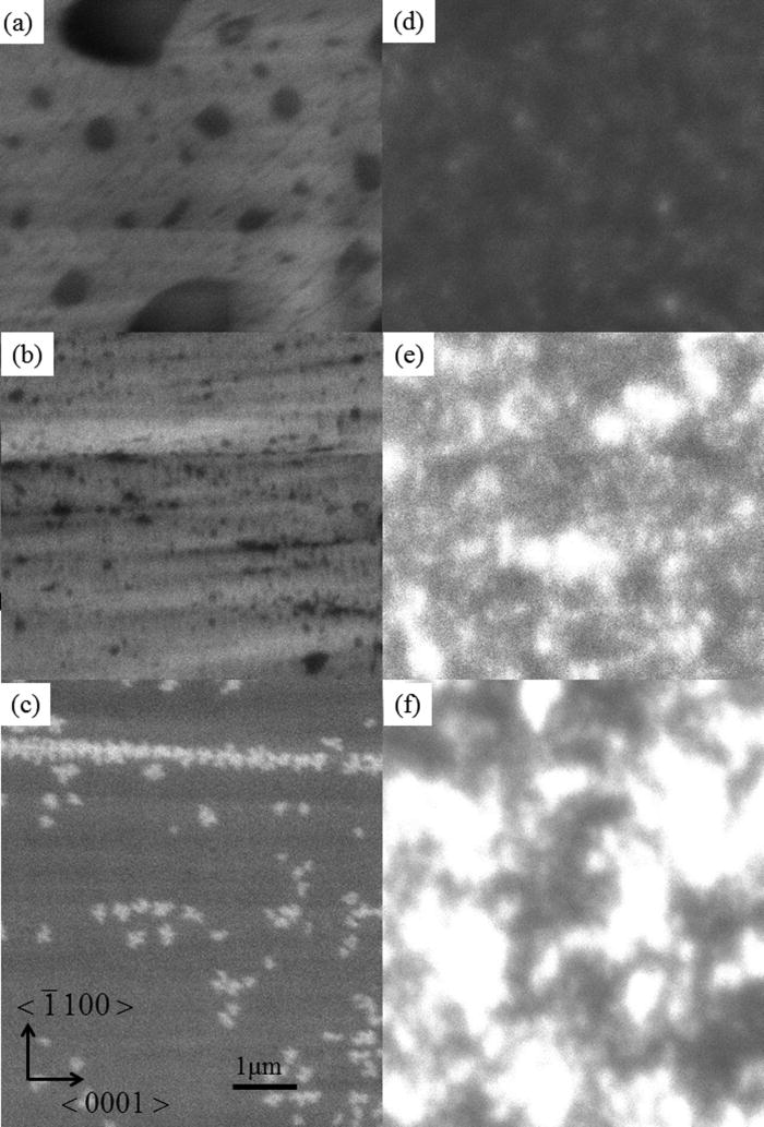 Anisotropic strain relaxation and the resulting degree of polarization ...