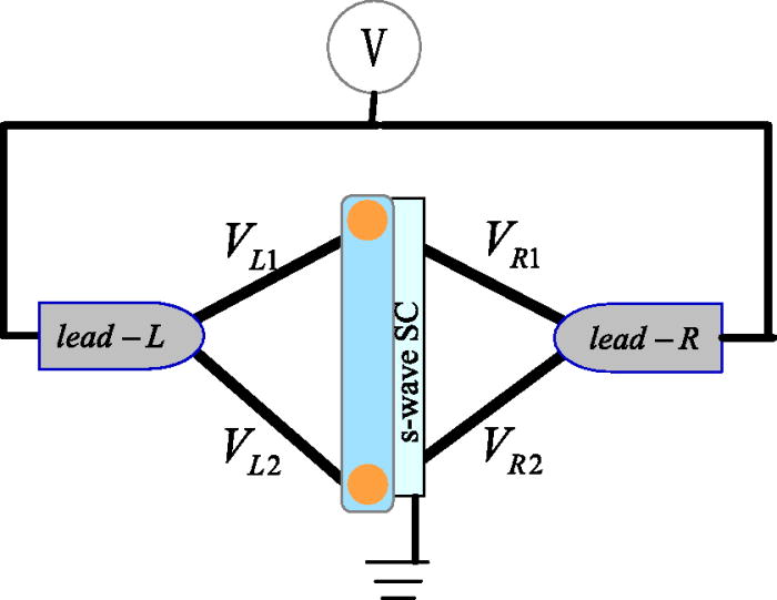 Transport properties of paired Majorana bound states in a parallel ...