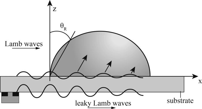 Investigations of droplet movement excited by Lamb waves on a non ...