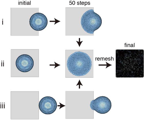 Observation and simulation of microdroplet shapes on surface-energy ...