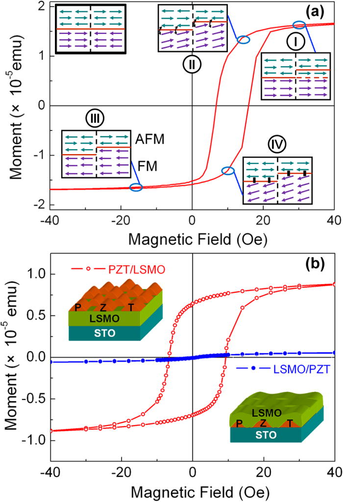 Room temperature spontaneous exchange bias in (La,Sr)MnO3/PbZr0.8Ti0 ...