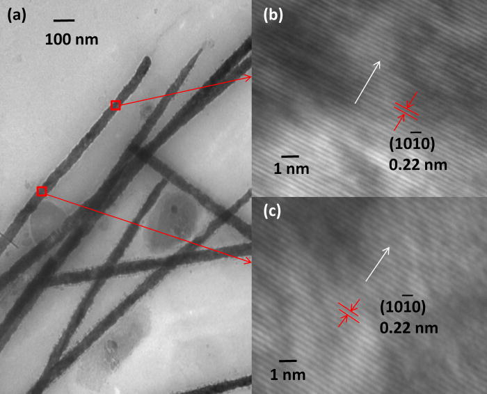 Manifestations in the magnetization of the hcp-Co nanowires due to interdependence of aspect ...