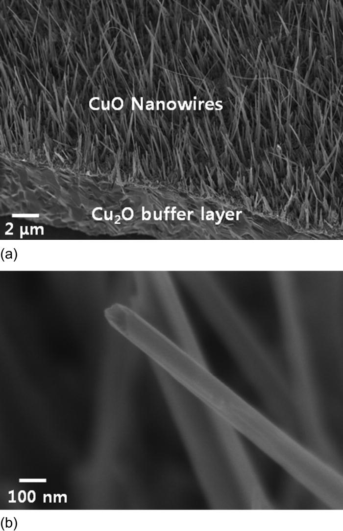 Single-crystalline CuO nanowire growth and its electrode-dependent ...