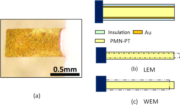 Enhancing detection sensitivity of piezoelectric plate sensor by ...