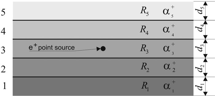 The multi-scattering model for calculations of positron spatial ...