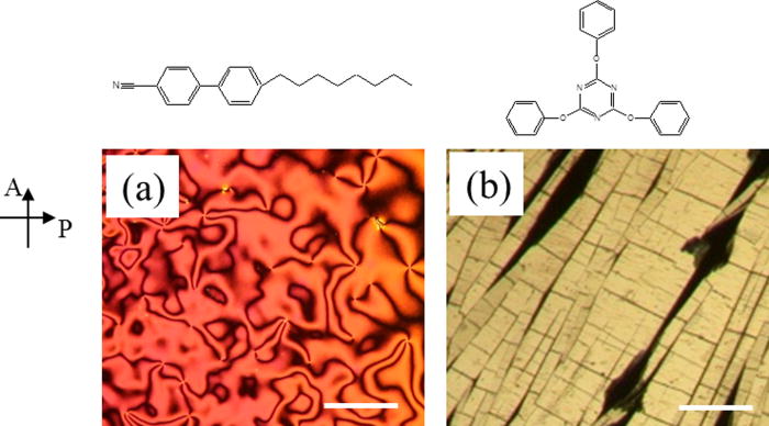 Chiral domain formation from the mixture of achiral rod-like liquid ...