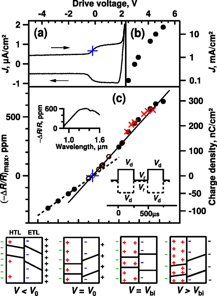 Permanent polarization and charge distribution in organic light ...