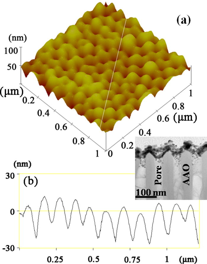Effect of antiferromagnetic layer thickness on exchange bias, training ...