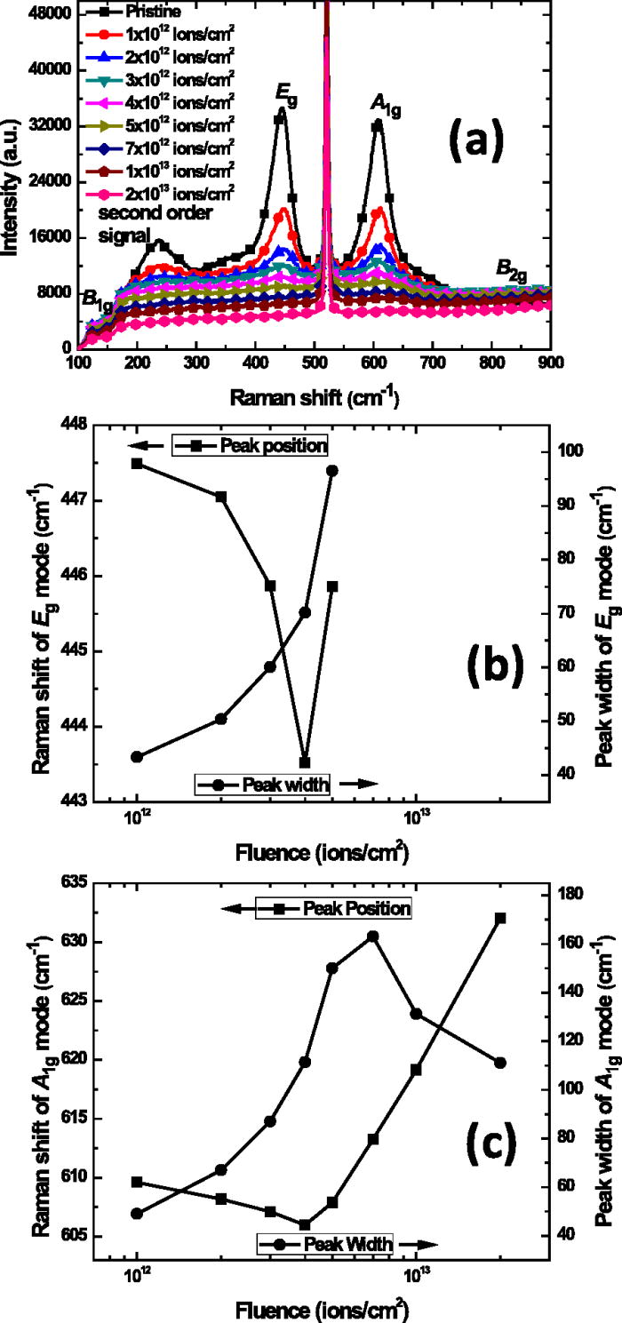 Micro-Raman study on the softening and stiffening of phonons in rutile ...