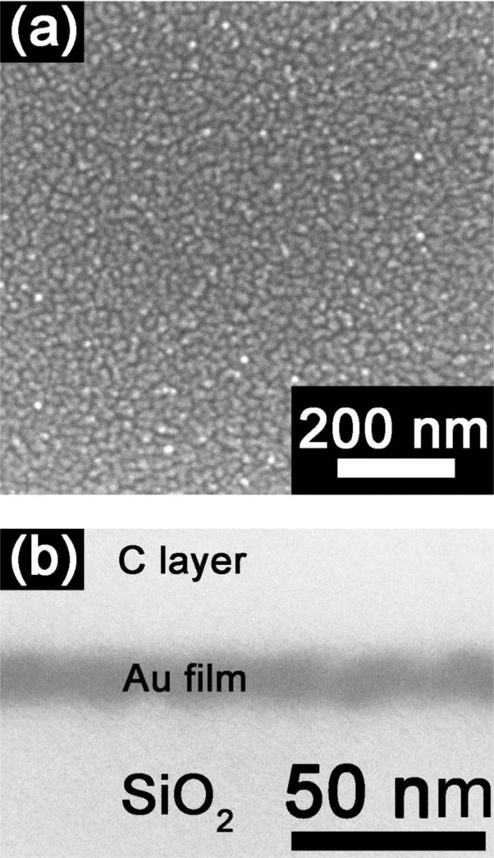 Effects of ion and nanosecond-pulsed laser co-irradiation on the ...