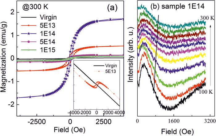 Structural and magnetic properties of irradiated SiC | Journal of ...