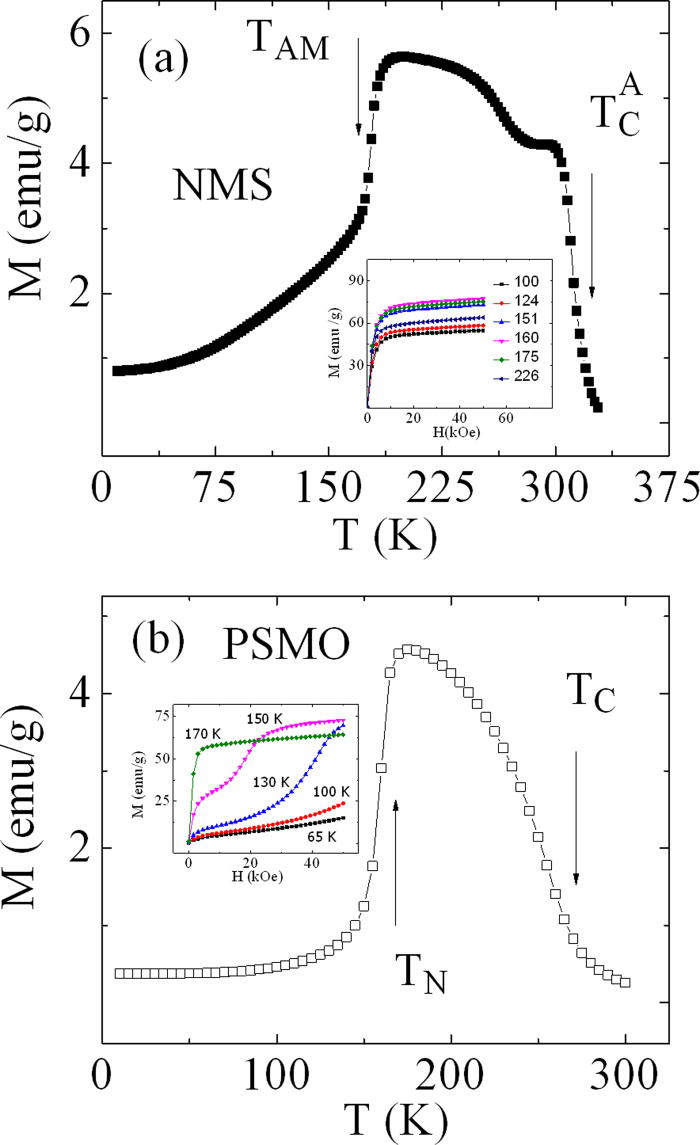 Impacts of first-order phase transition and phase coexistence on the ...