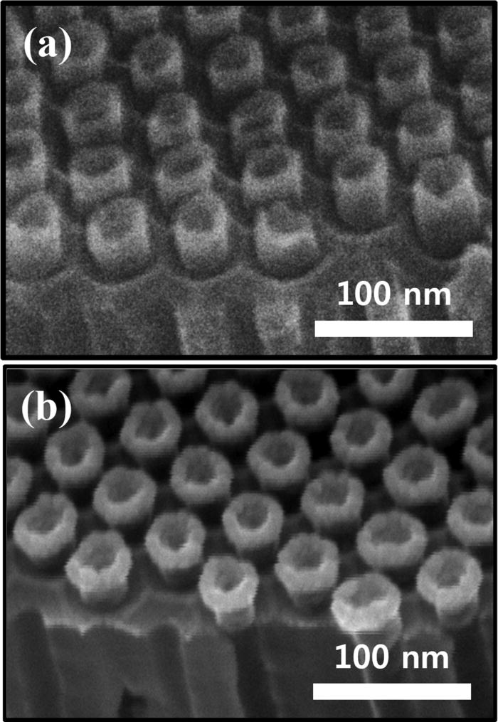 Magnetic properties of Co/Pt nanoring arrays deposited on carbon ...