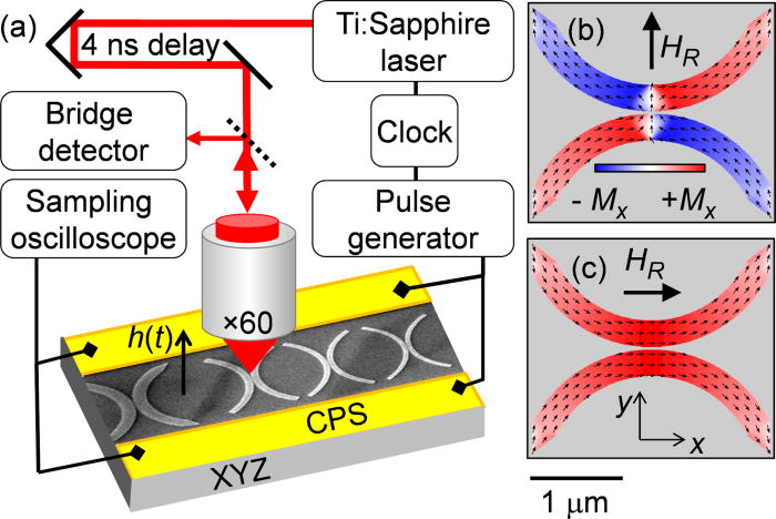 Time-resolved Kerr microscopy of coupled transverse domain walls in a ...
