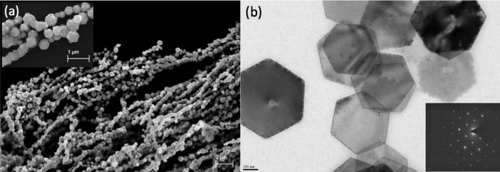 Magnetization analysis of oriented chains of hexagonal cobalt ...