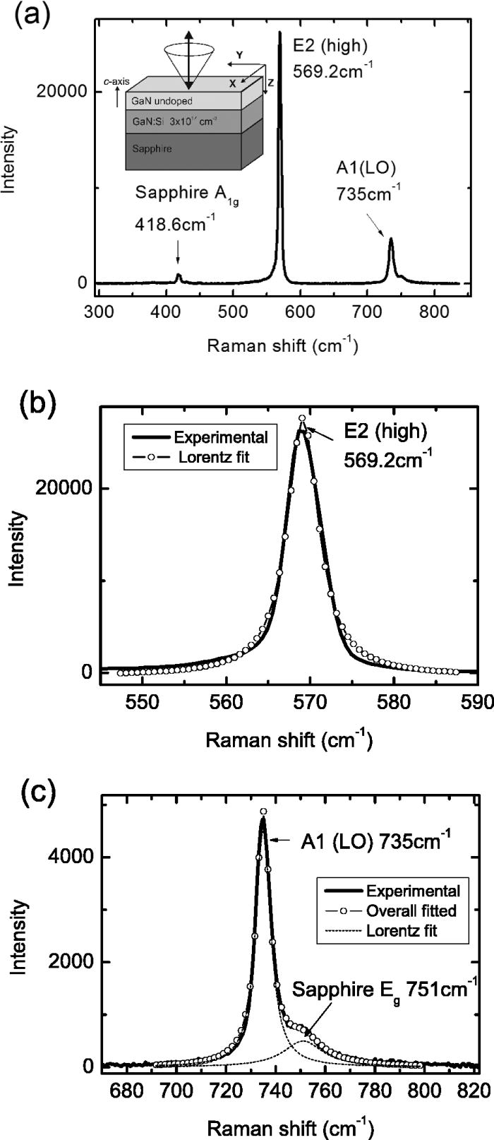 Deep traps in n-type GaN epilayers grown by plasma assisted molecular ...