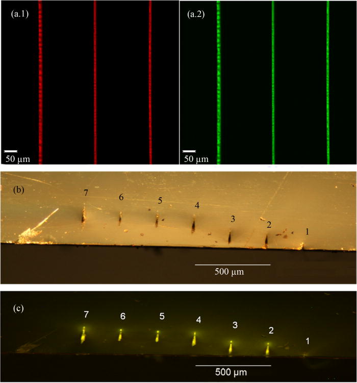 Optical characterization of femtosecond laser induced active channel ...
