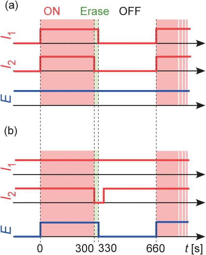 Dark current and light illumination effects on grating formation during ...