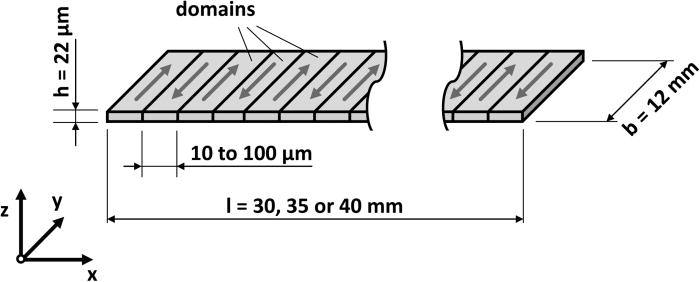Fully coupled, dynamic model of a magnetostrictive amorphous ribbon and ...