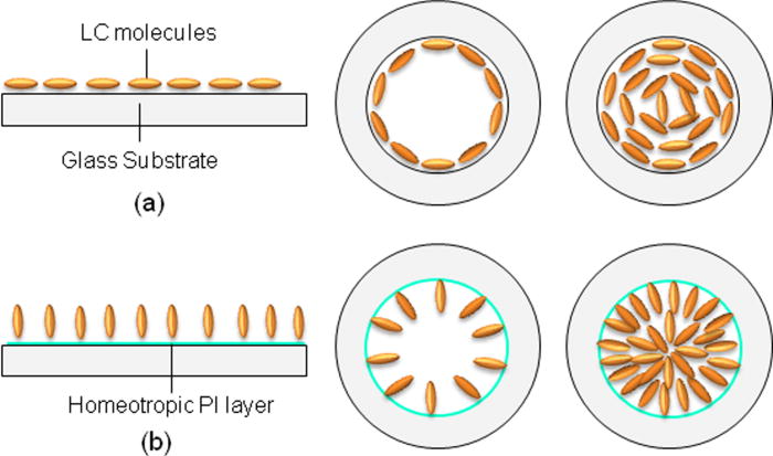 Polarization converting textures of nematic liquid crystal in glass ...