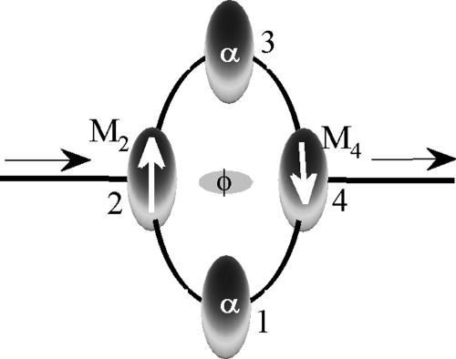 Induced spin-accumulation and spin-polarization in a quantum-dot ring ...