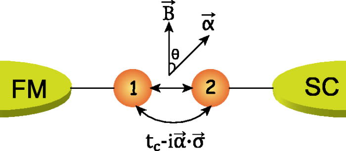 Spin-resolved Andreev transport through a double quantum-dot system ...