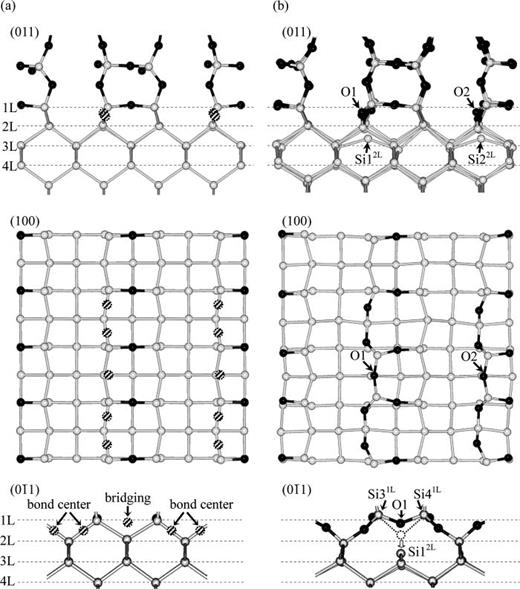 Molecular dynamics study of Si(100)-oxidation: SiO and Si emissions ...