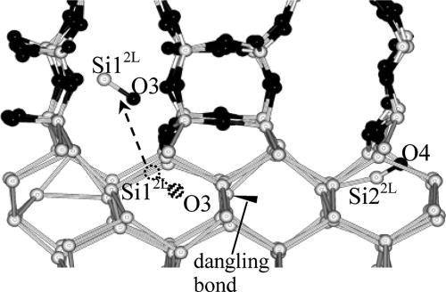 Molecular dynamics study of Si(100)-oxidation: SiO and Si emissions ...