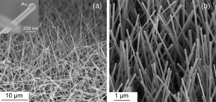 Deep-level emission in ZnO nanowires and bulk crystals: Excitation ...