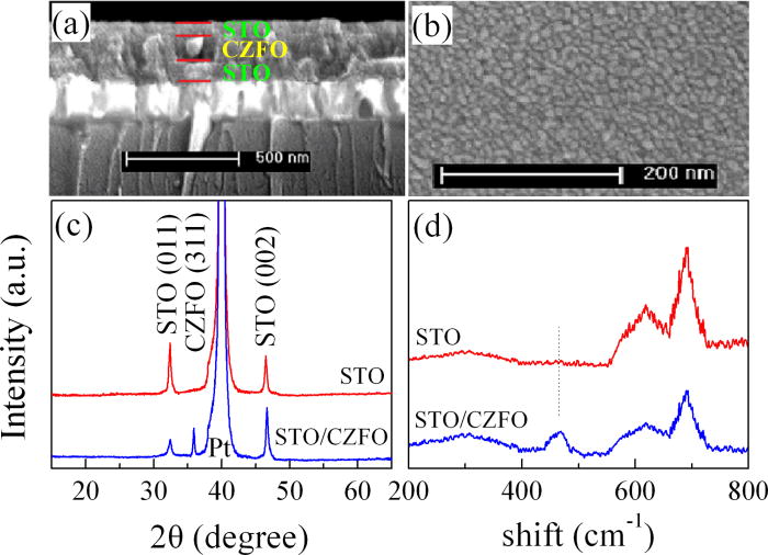 Anisotropic manipulation of ferroelectric polarization in SrTiO3/(Co0 ...