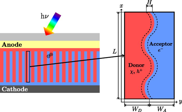 Organic solar cells: a rigorous model of the donor-acceptor interface ...