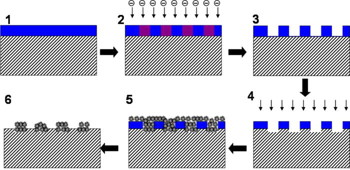 Template assisted self-assembly of iron oxide nanoparticles: An x-ray ...