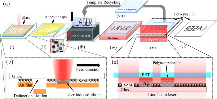 Parallel laser fabrication of film-embedded microstructures using ...