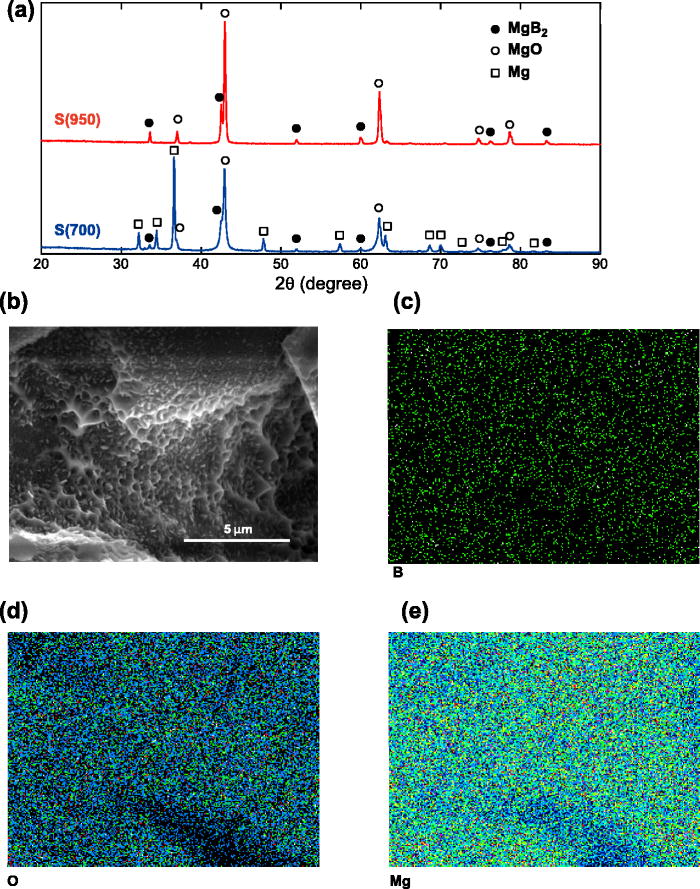Magnetic hysteresis behavior and magnetic pinning in a d ferromagnet ...