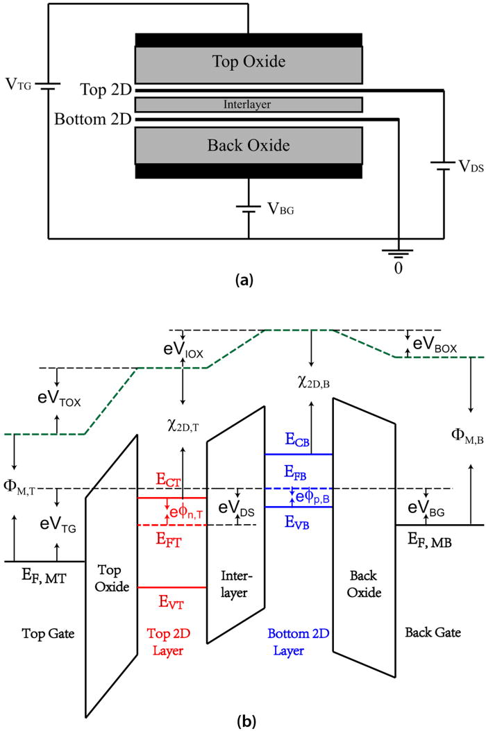 Single particle transport in two-dimensional heterojunction interlayer ...